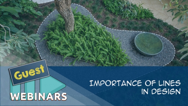 Importance of Lines in Design